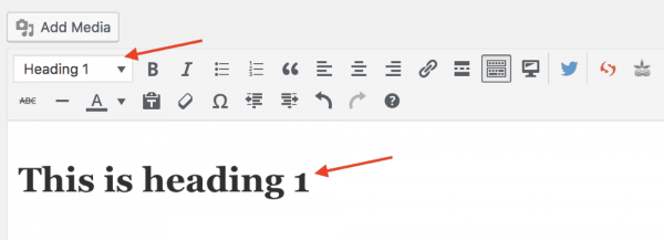 What is the H1 Tag and Why it is Important for SEO
