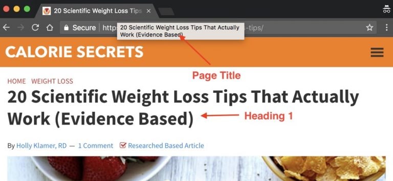 What is the H1 Tag and Why it is Important for SEO