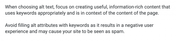What Is Alt Text? Examples & Best Practices