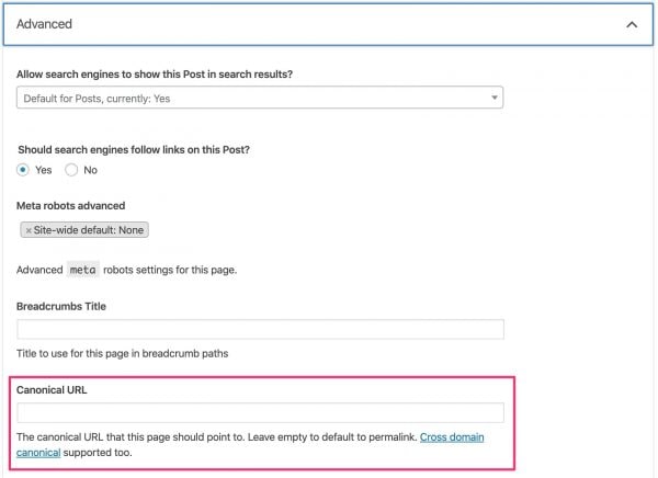 Canonical URLs: Beginners Guide With Examples