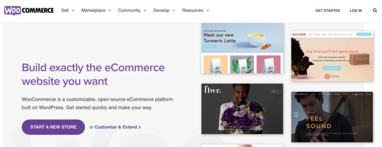 How to Learn eCommerce Online (Beginners Guide)