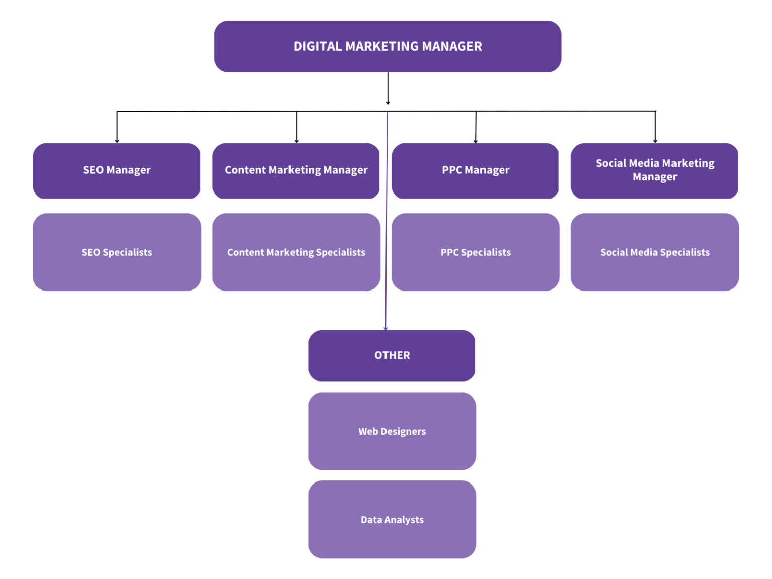 What is a Digital Marketing Agency?