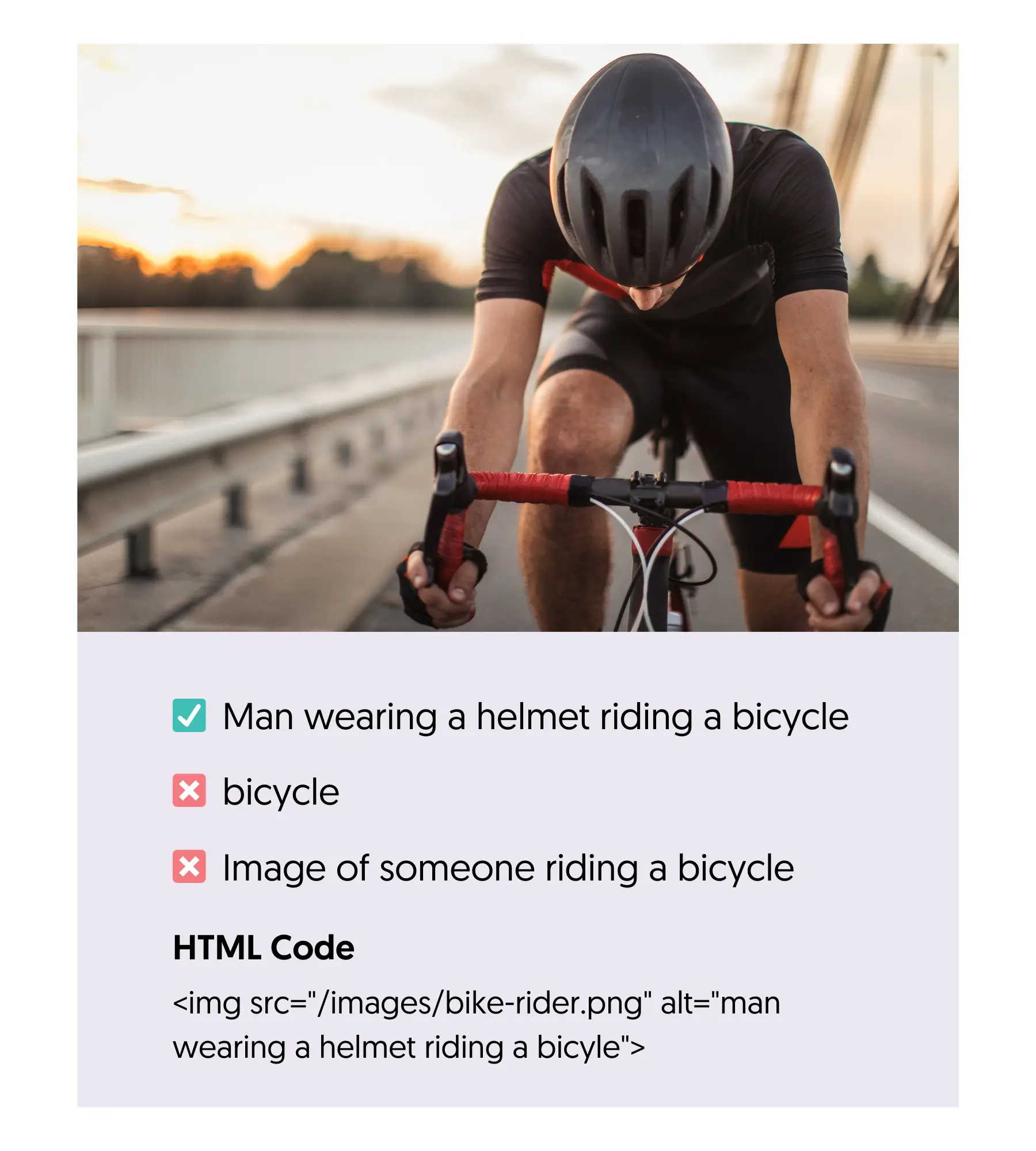 What Is Alt Text Examples Best Practices
